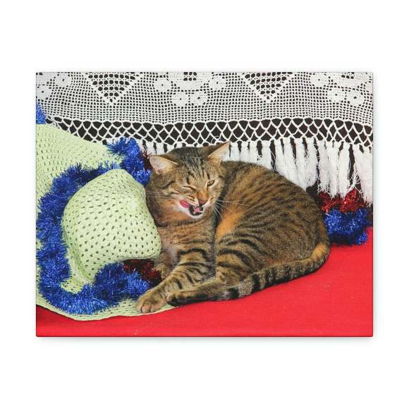Express Your Love Gifts | Art | Funny Wildcat Silly Wildcat Scene ...